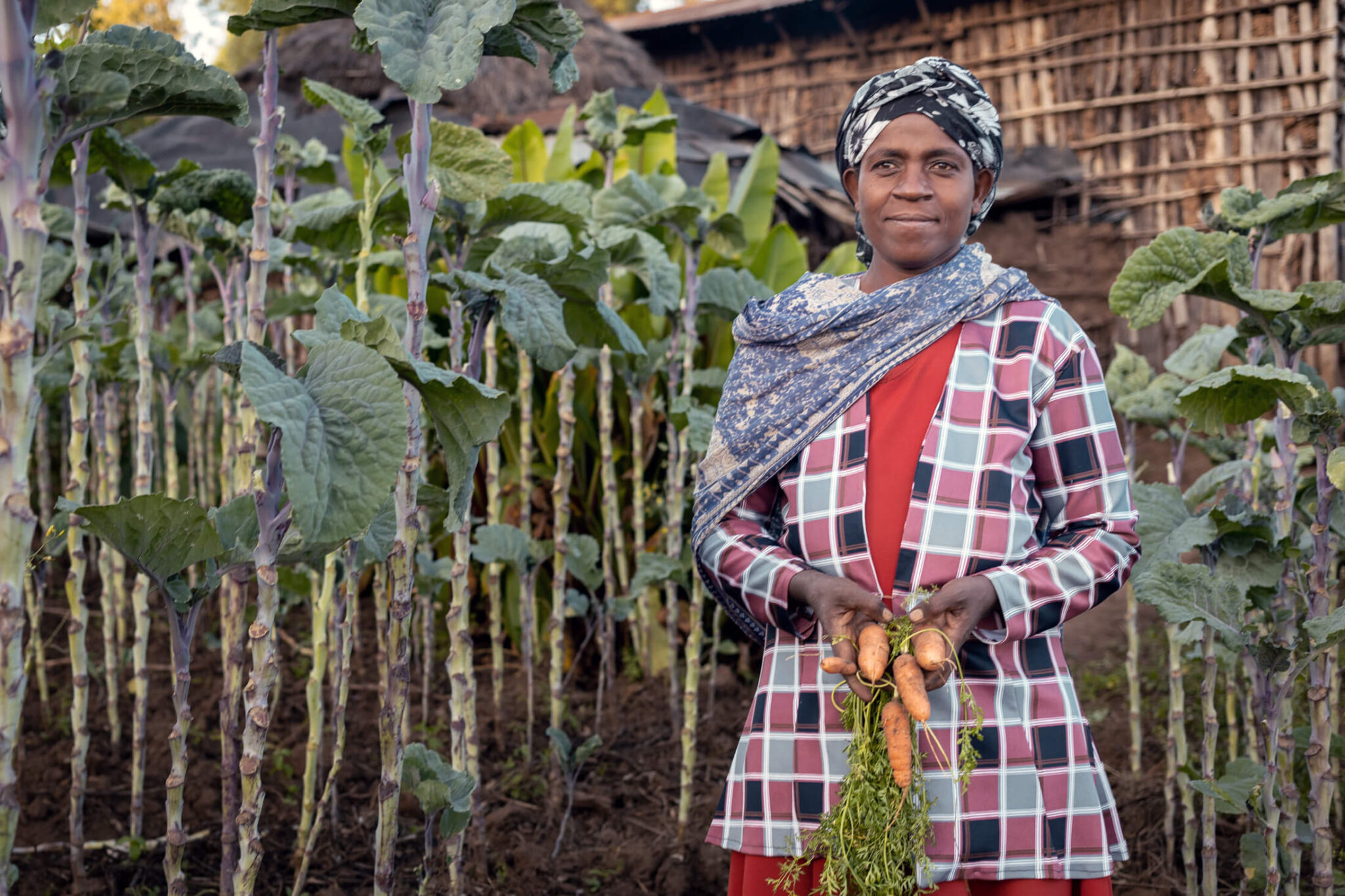 February Snapshots 2024 | International Medical Corps UK