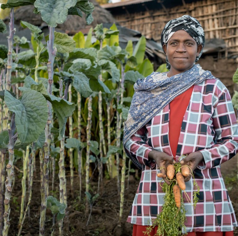 Snapshots: 2024 Wrapped | International Medical Corps UK