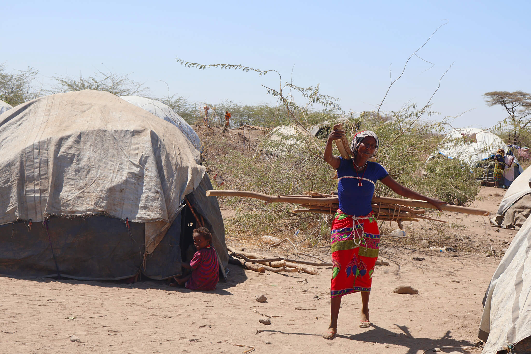 Emergency Response to Earthquakes in Ethiopia